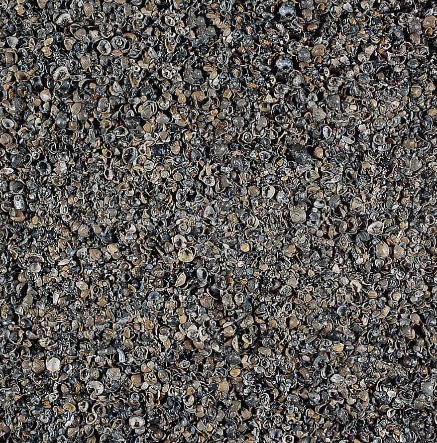 Excluton - BIGBAG 1000 Kg Schelpen 8-16 mm - 123 Sierbestrating