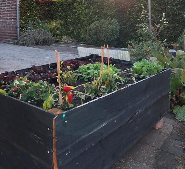 How to: een eigen moestuinbak maken - 123 Sierbestrating